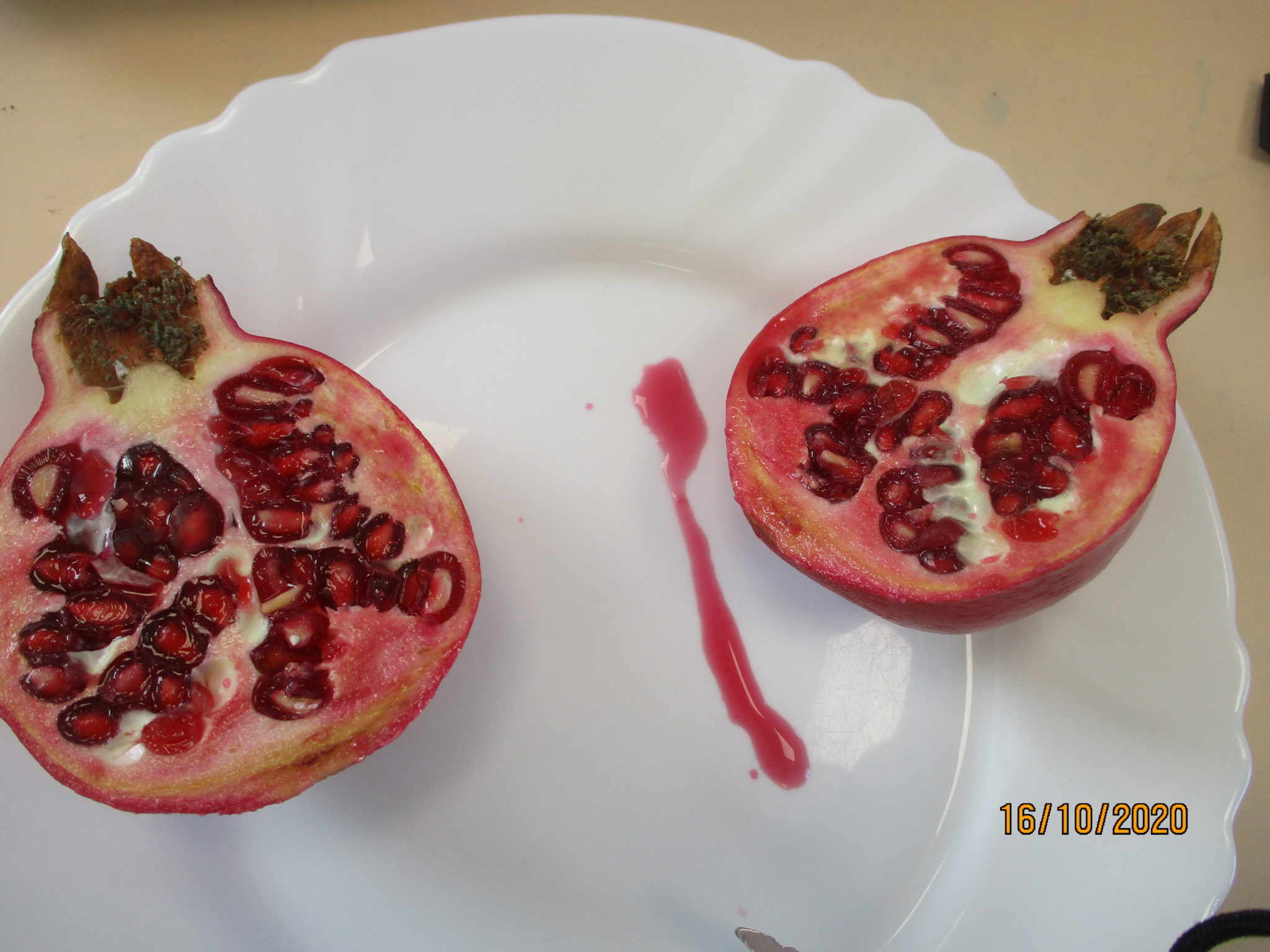 Perséphone et le grain de grenade – Ecole Ste Marie