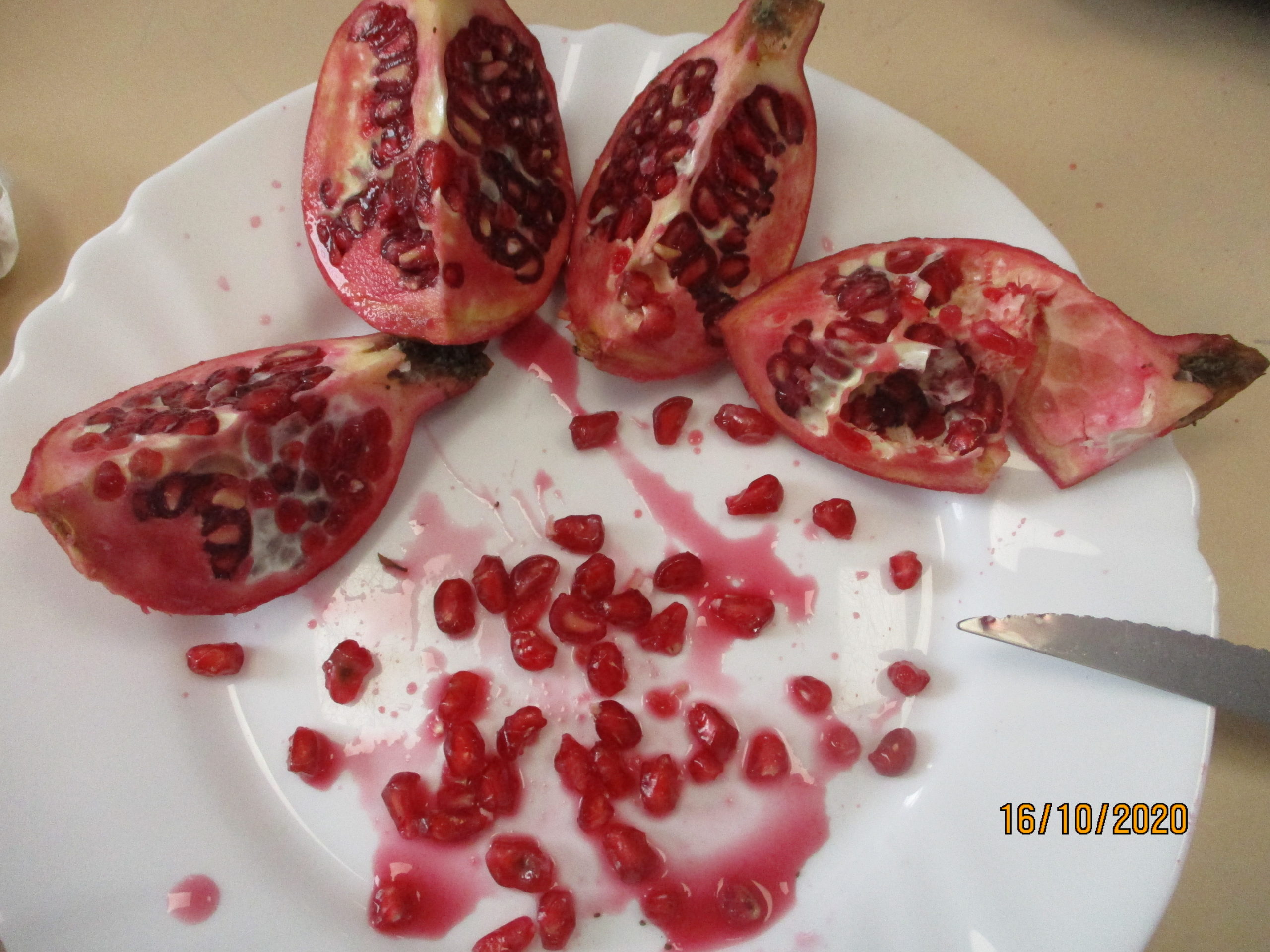 Perséphone et le grain de grenade – Ecole Ste Marie